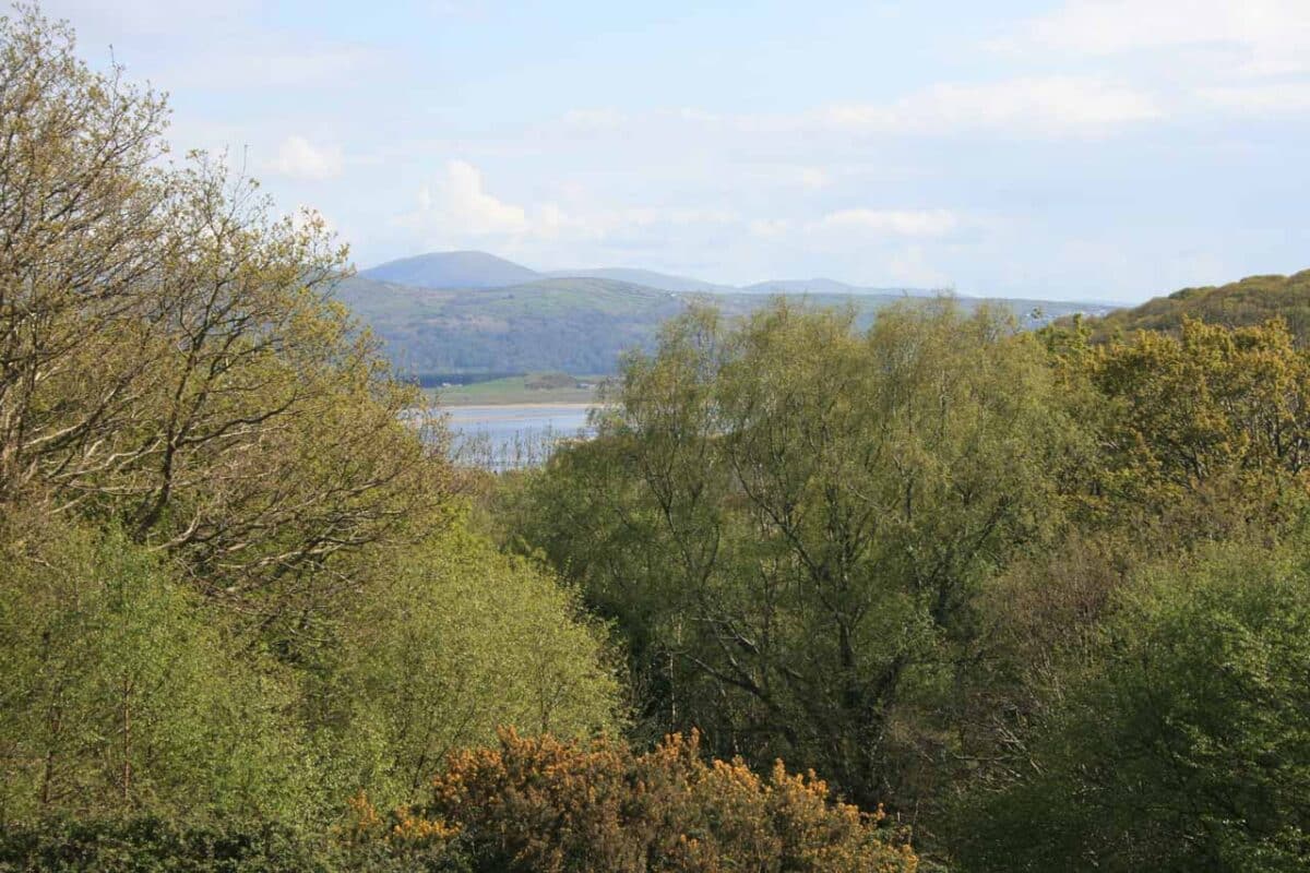 Photo Gallery - Tyddyn Llwyn