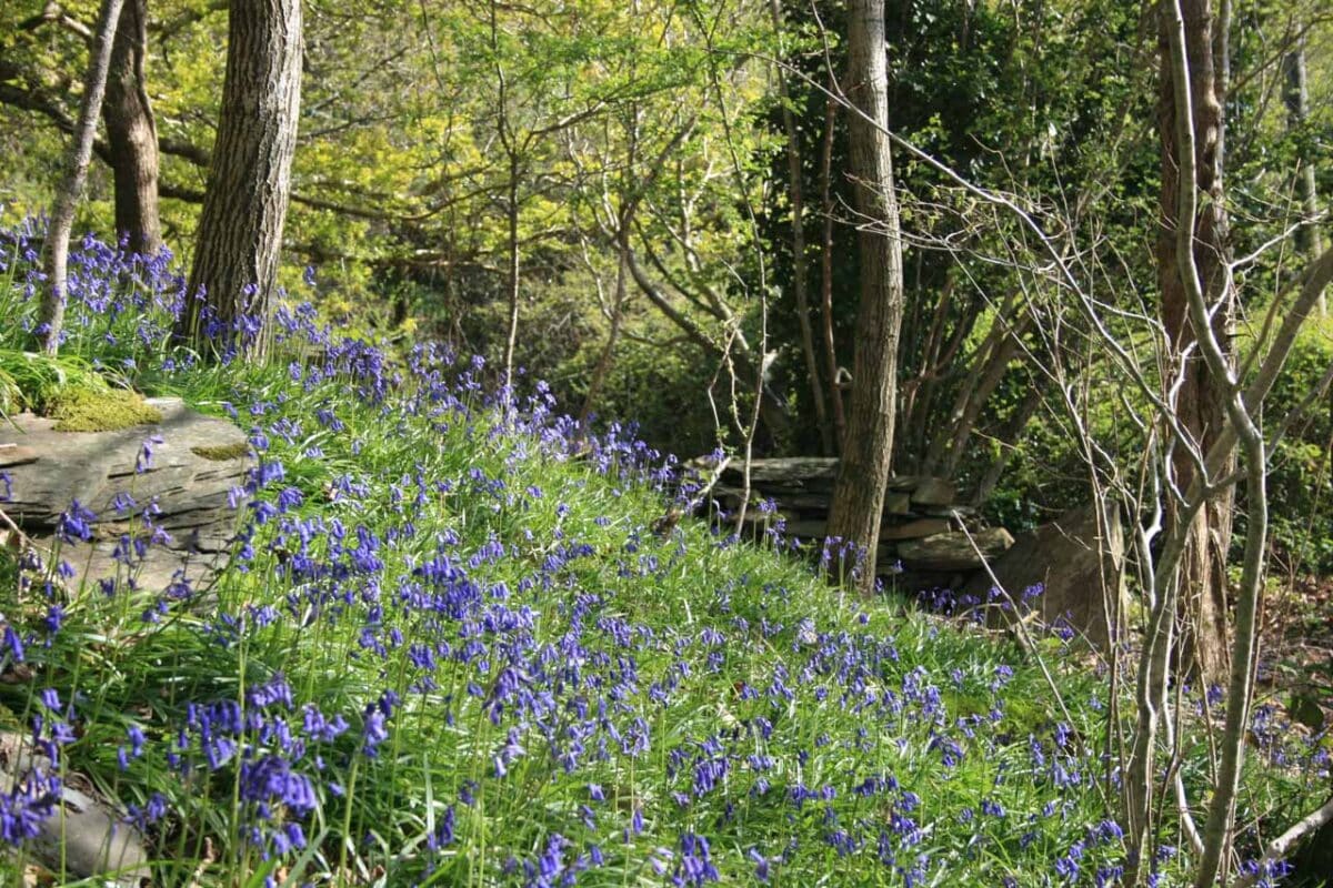 Photo Gallery - Tyddyn Llwyn