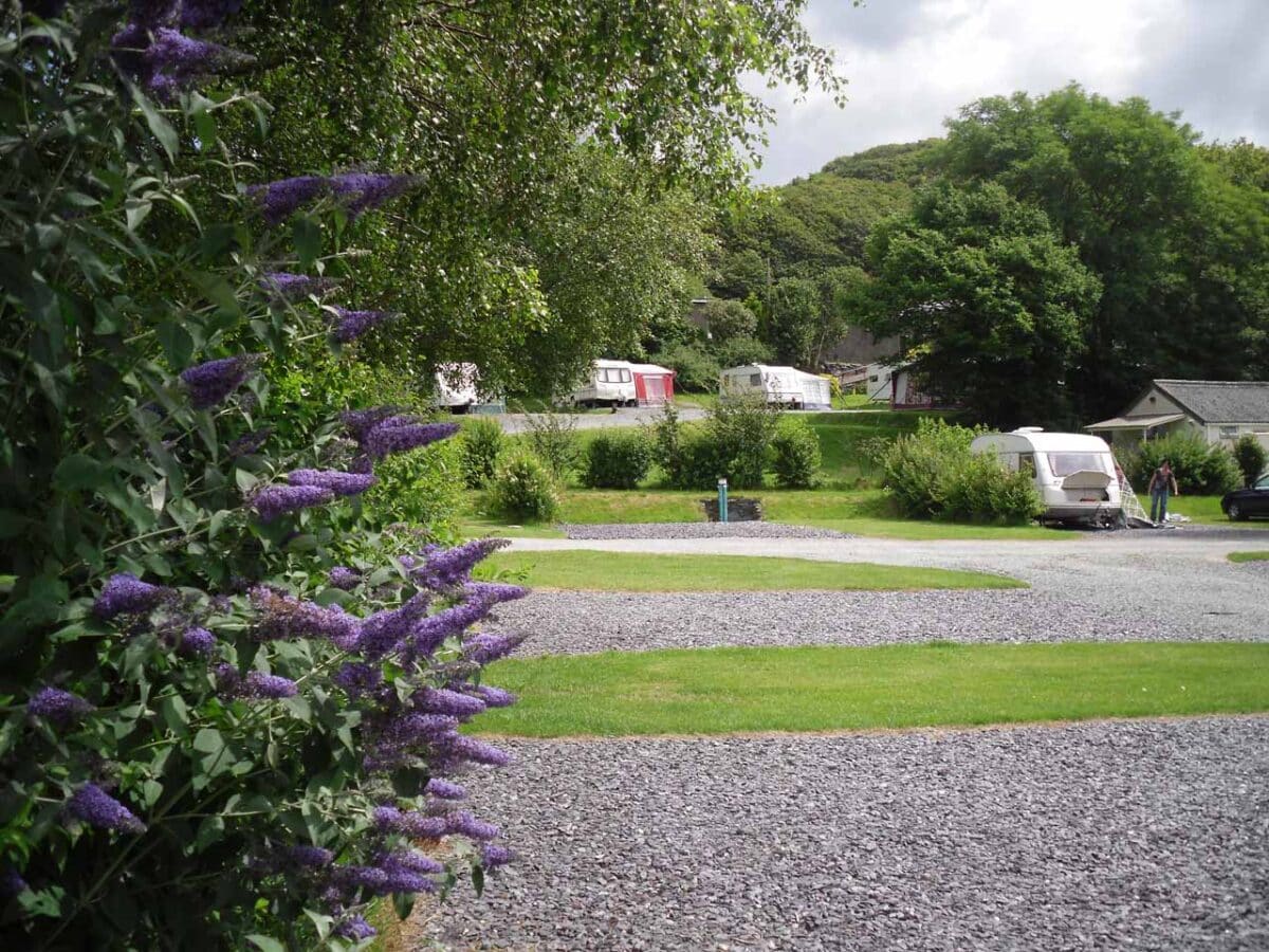 Photo Gallery - Tyddyn Llwyn